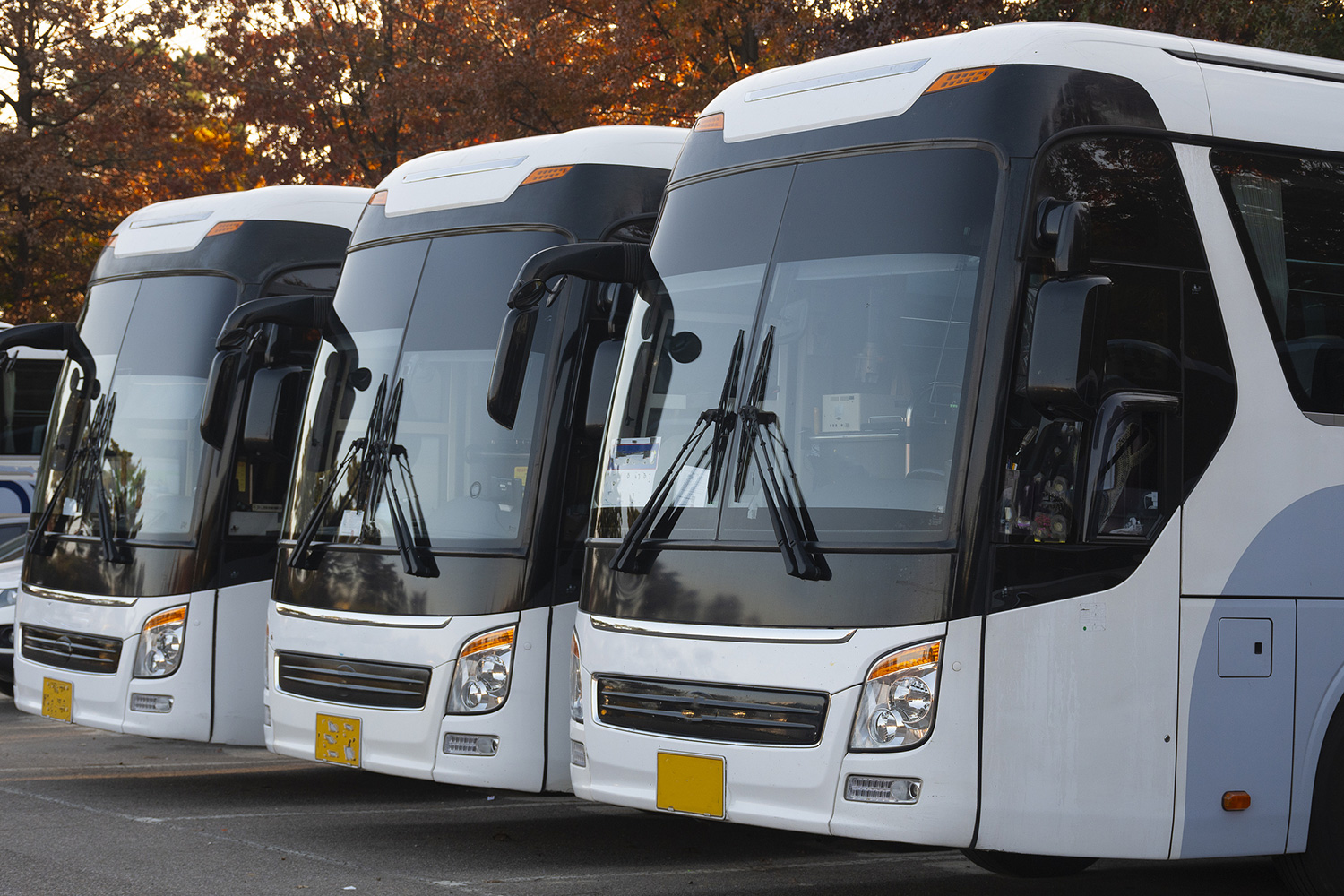 International Services - Fosun Health